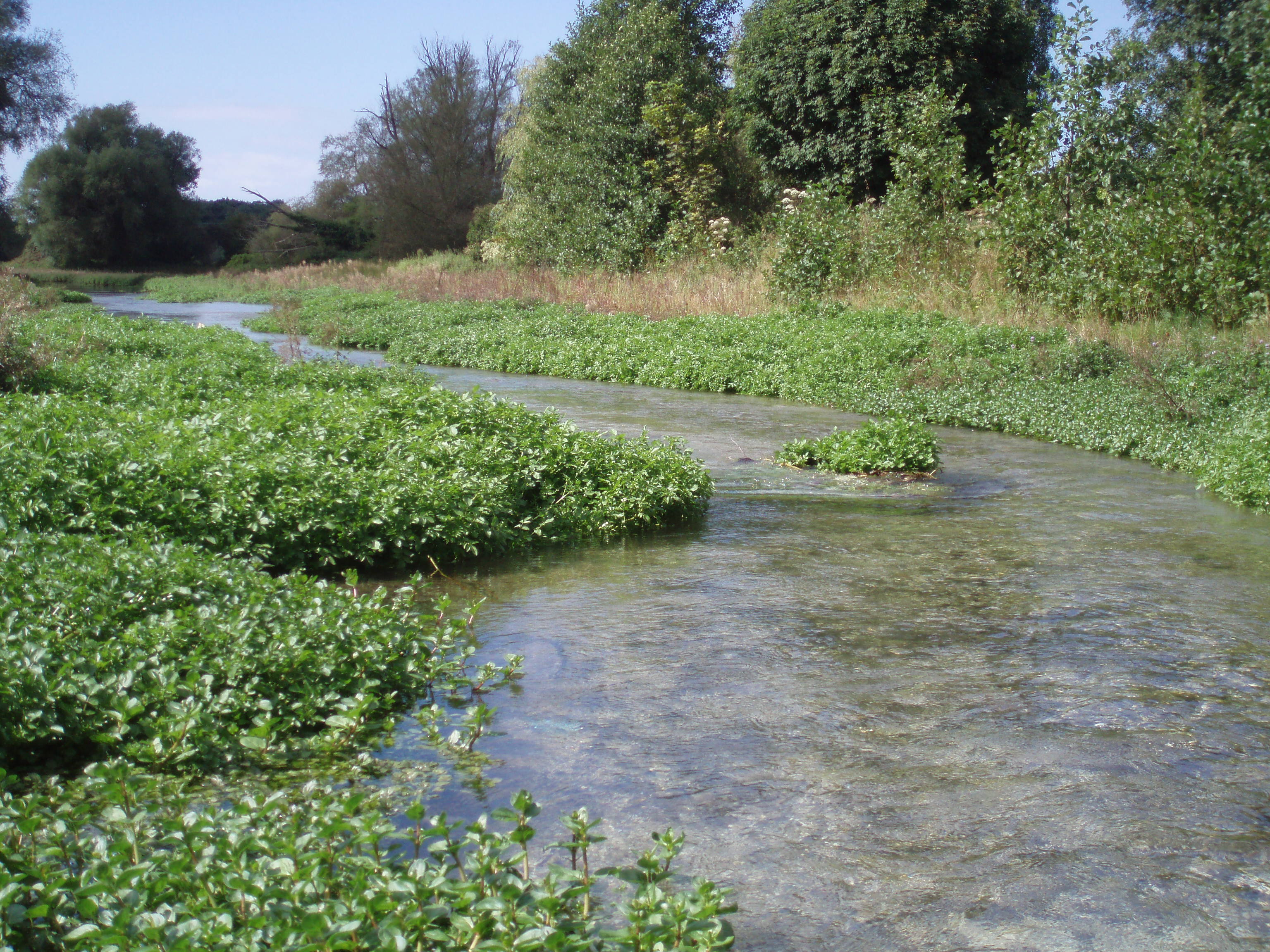 File:Babingley Sept2007post.JPG - RESTORE