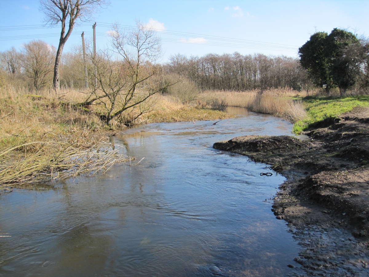 File:Scul.jpg - RESTORE