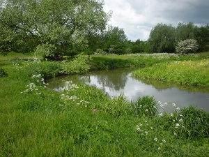 Case study:River Skerne- Life project - RESTORE