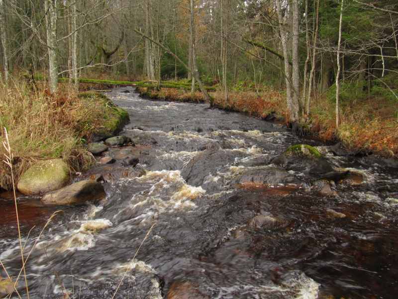 File:Confluence of old stream and new strem (photo. Maria Arola).JPG ...