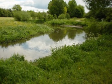 Case study:River Skerne- Life project - RESTORE