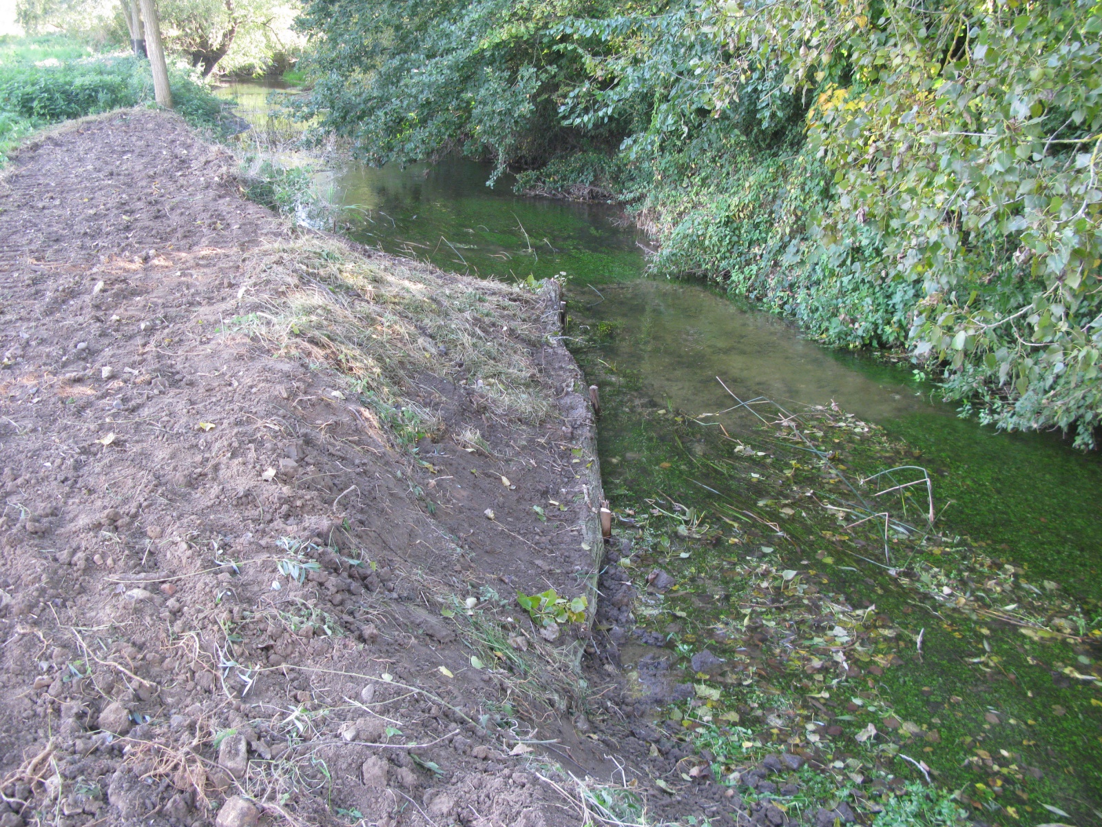 File:Composite berm 2.JPG - RESTORE