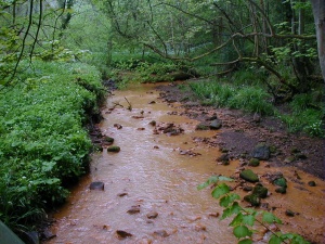 Case study:Saltburn Gill ironstones mines - RESTORE