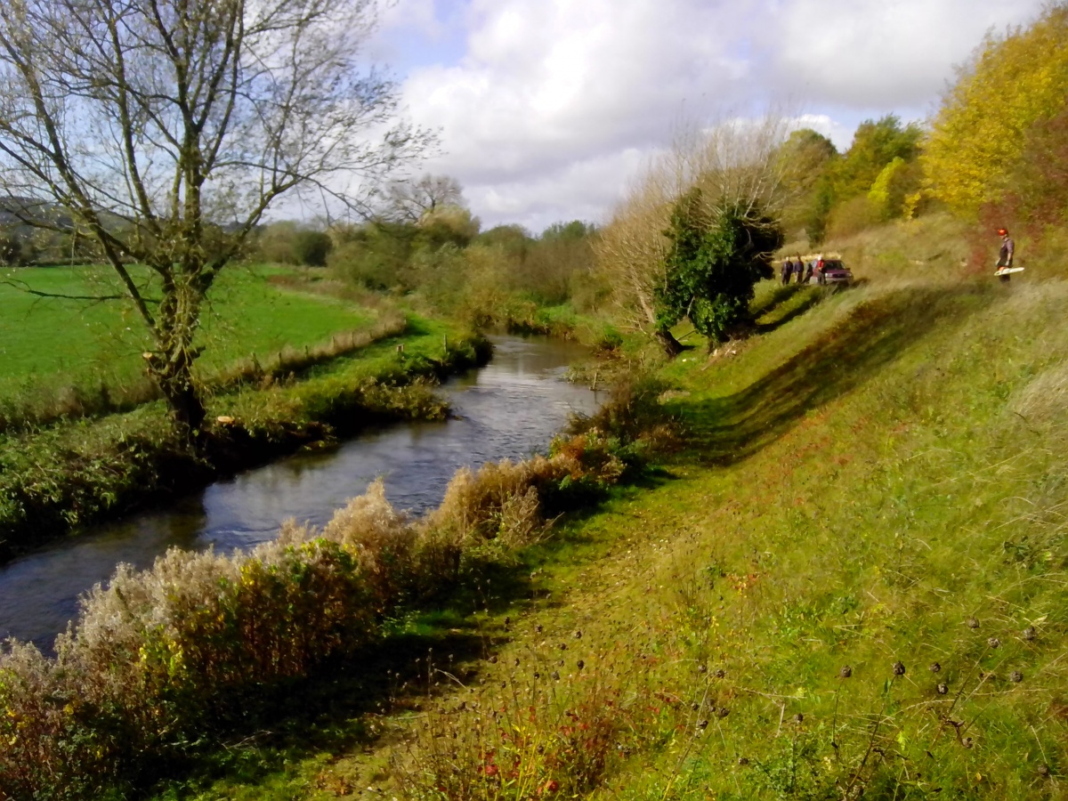 File:Brushwood mattresses and deflectors just after installation.jpg ...