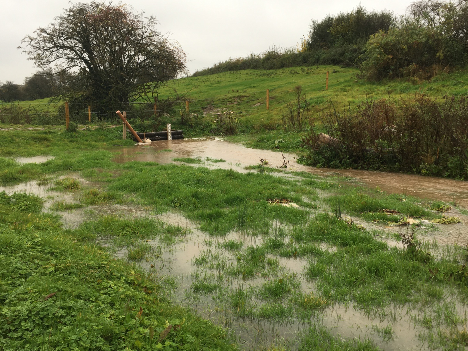 File:Floodplain reconnection.JPG - RESTORE