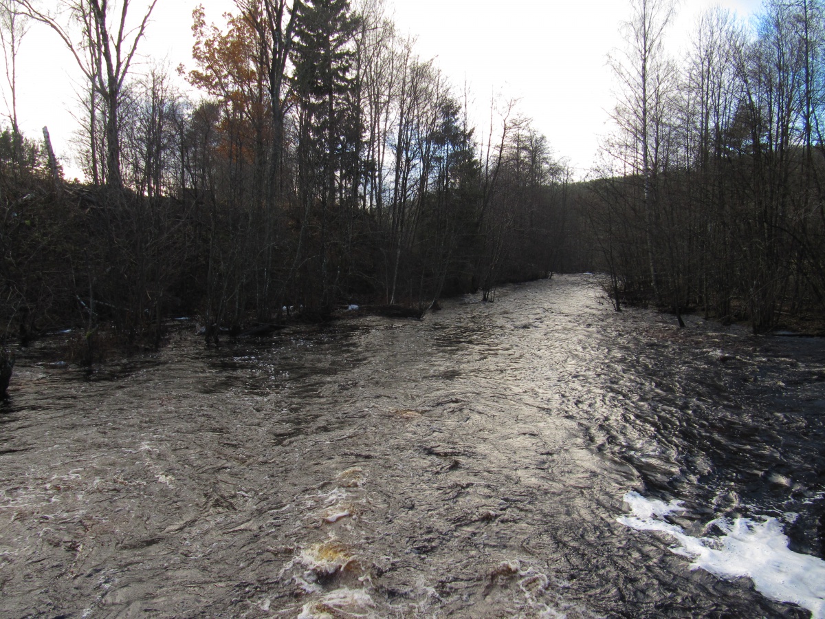 File:Downstream from the dam(photo. Maria Arola).JPG - RESTORE