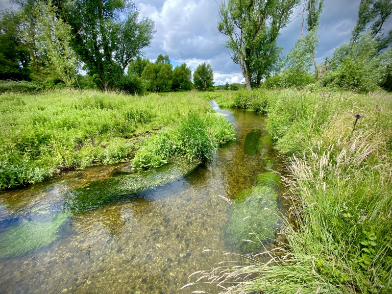 File:The River Nar Castle Acre Common.jpeg - RESTORE