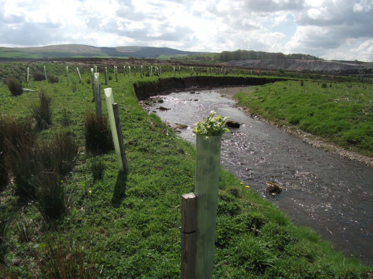 File:View of new realigned section of the River Nith.jpg - RESTORE