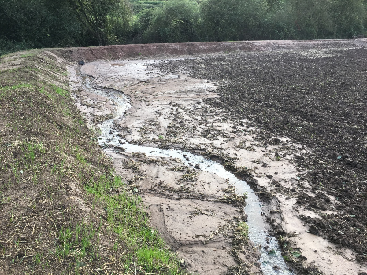 File:Sediment capture.JPG - RESTORE