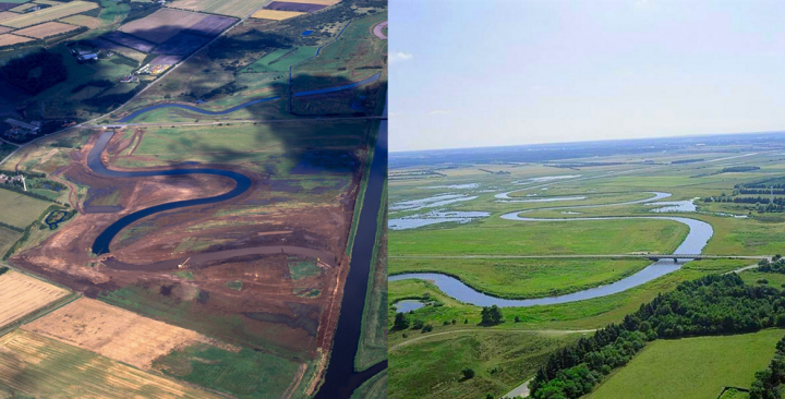 Case study:Skjern River Project - RESTORE