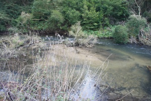 Case study:River Nar Restoration Project - RESTORE