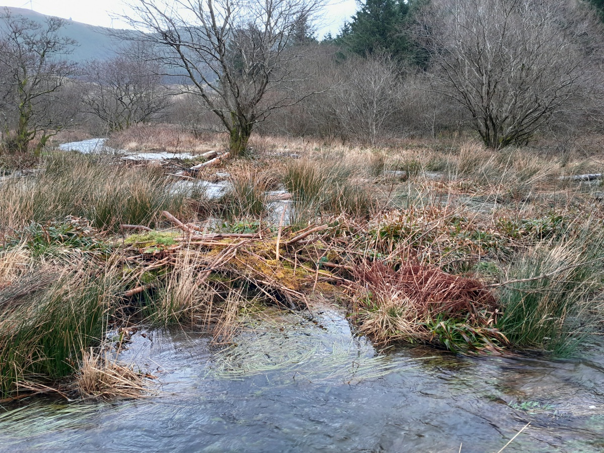 File:20230314 153546.jpg - RESTORE