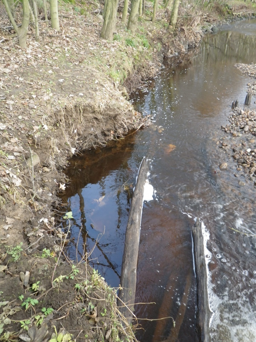 File:River bank collapse p.jpg - RESTORE