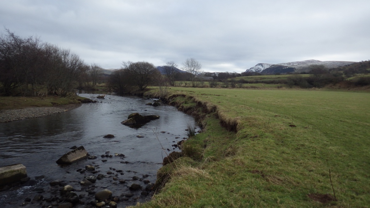 File:Willow spiling - before - from Diane O'Leary.jpg - RESTORE