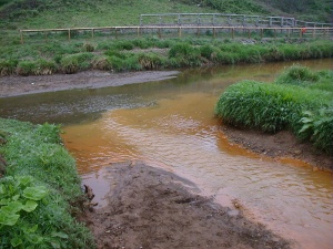 Case study:Saltburn Gill ironstones mines - RESTORE