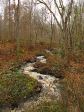 Case study:Kvarnekulla nature like bypass channel at River Knipån - RESTORE
