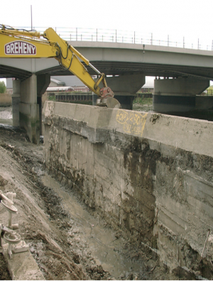 Case study:Lower River Roding Regeneration Project - RESTORE