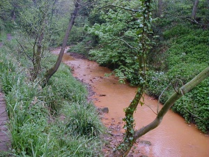Case study:Saltburn Gill ironstones mines - RESTORE