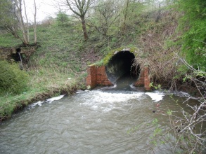 Case study:The River Deerness Project - RESTORE