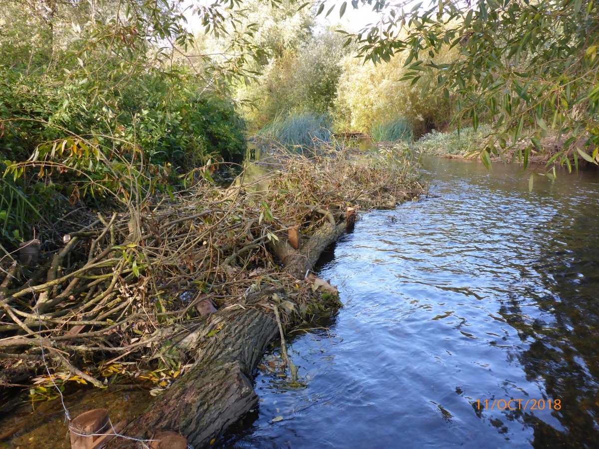 File:P1000330.JPG - RESTORE