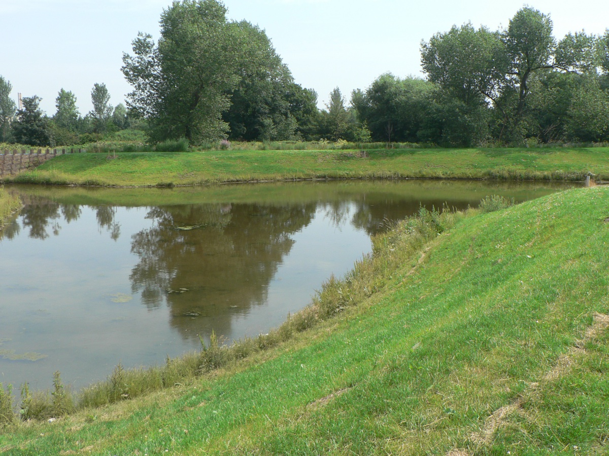 File:Attenuation pond.JPG - RESTORE