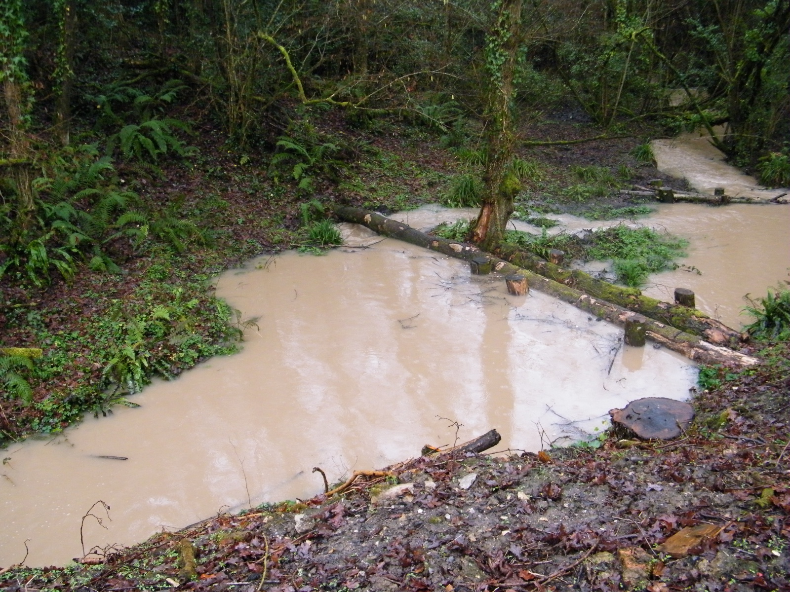 File:Photo - Leaky Dams in Flood (24.1.18).jpg - RESTORE