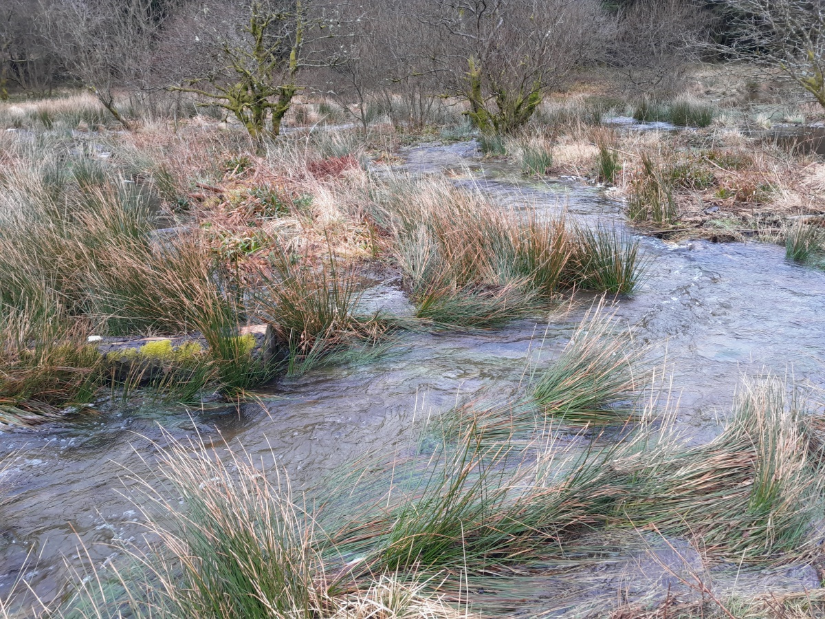 File:20230314 153218.jpg - RESTORE