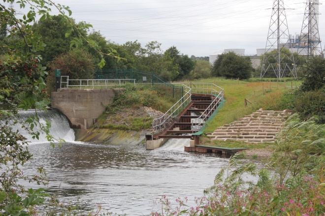 Case study:Borrowash fish pass - RESTORE