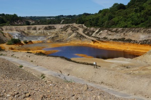 Case study:Carnon River: Abandoned Metal Mines - RESTORE