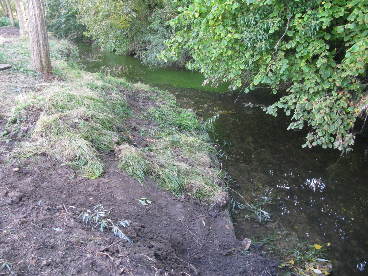 File:Composite berm.JPG - RESTORE