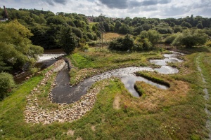 Case study:Rodley weir by pass channel - RESTORE